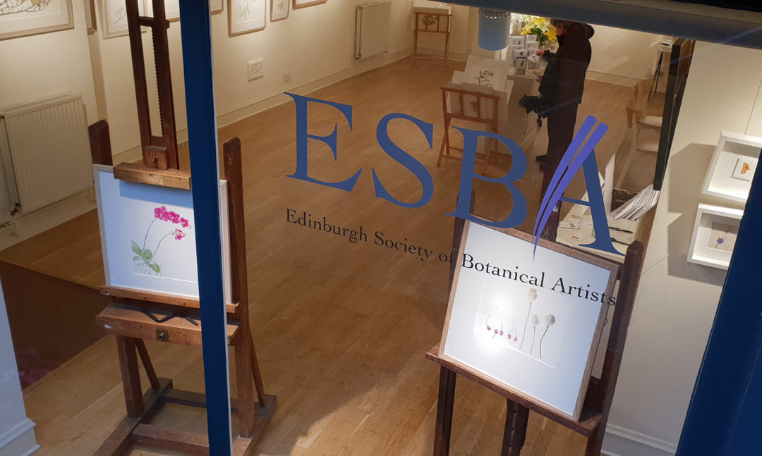 ESBA Exhibition 2018 – Plants, Passion, Paint… | Marianne Hazlewood